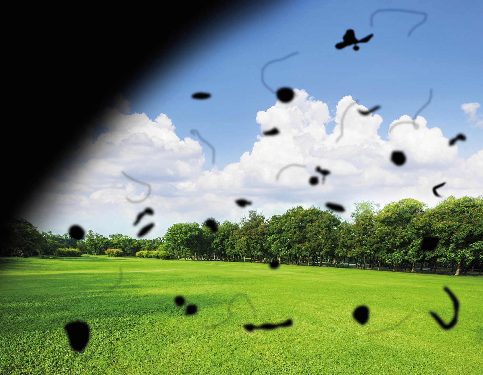 Che cosa sono le fotopsie e come si riconoscono? - Blog di Clinica Baviera